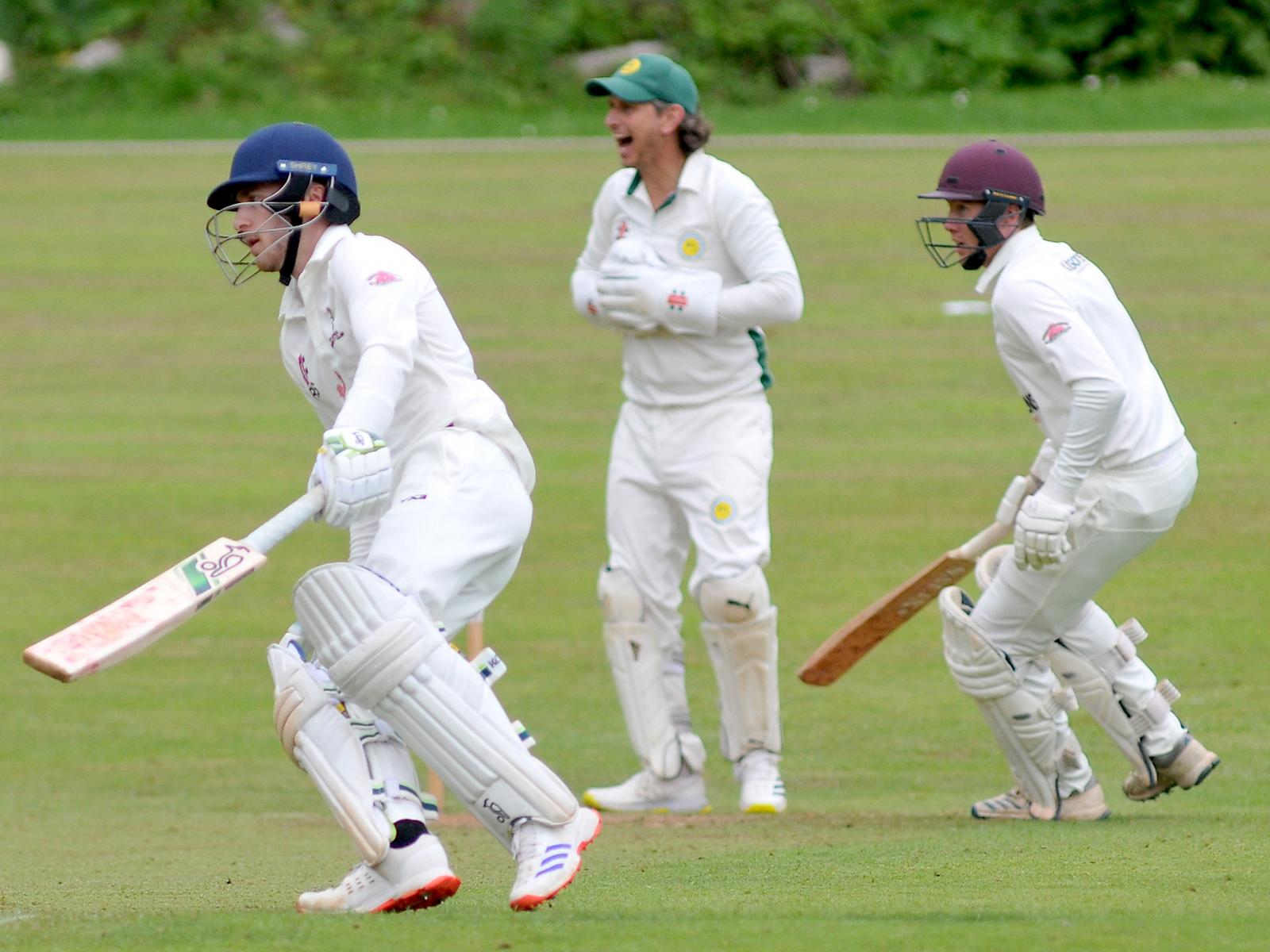 Tolchards Devon Cricket League - Devon Cricket